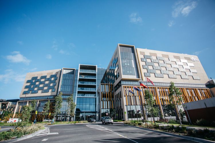 Bendigo Health Logo Bendigo Health Synapse